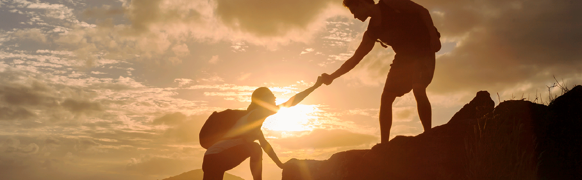 | Grant Thornton New Zealand