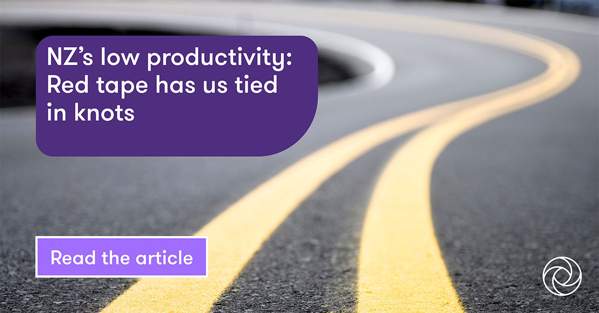 NZ's low productivity problem: Red tape has us tied in knots | Grant ...